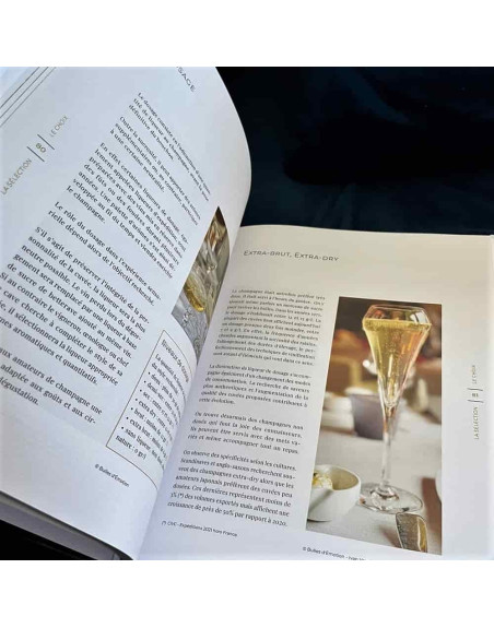 Secrets de Champagne : le meilleur livre sur le champagne - livre champagne