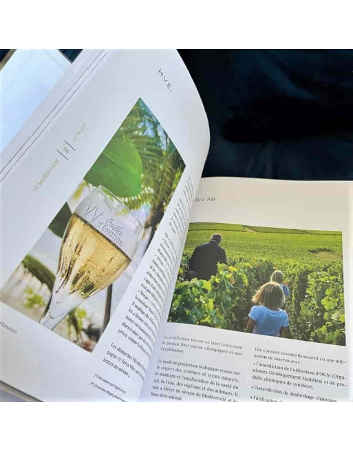 Secrets de Champagne : le meilleur livre sur le champagne - livre champagne