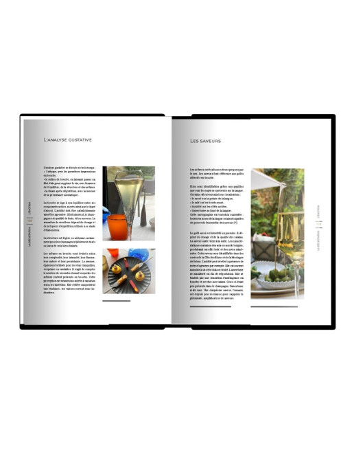 Secrets de Champagne : le meilleur livre sur le champagne - livre champagne