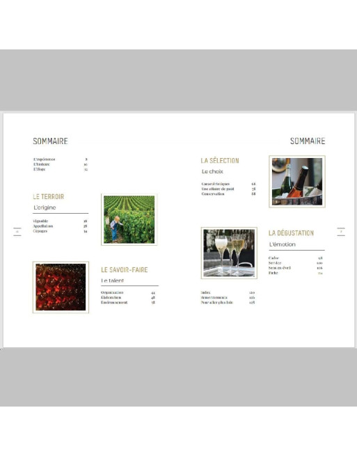 Secrets de Champagne : le meilleur livre sur le champagne - livre champagne