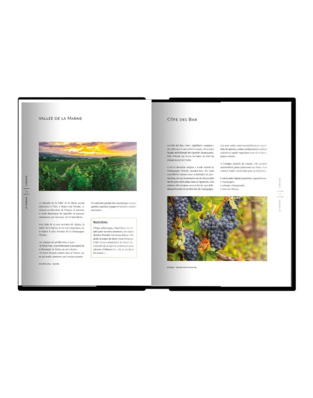 Secrets de Champagne : le meilleur livre sur le champagne - livre champagne